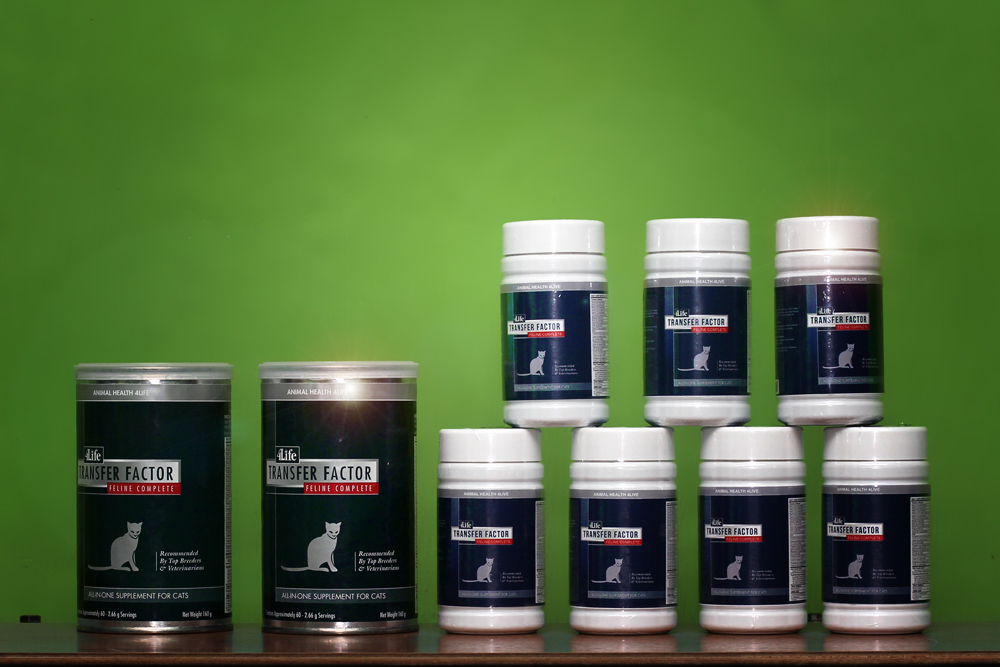 Transfer Factor Kucing