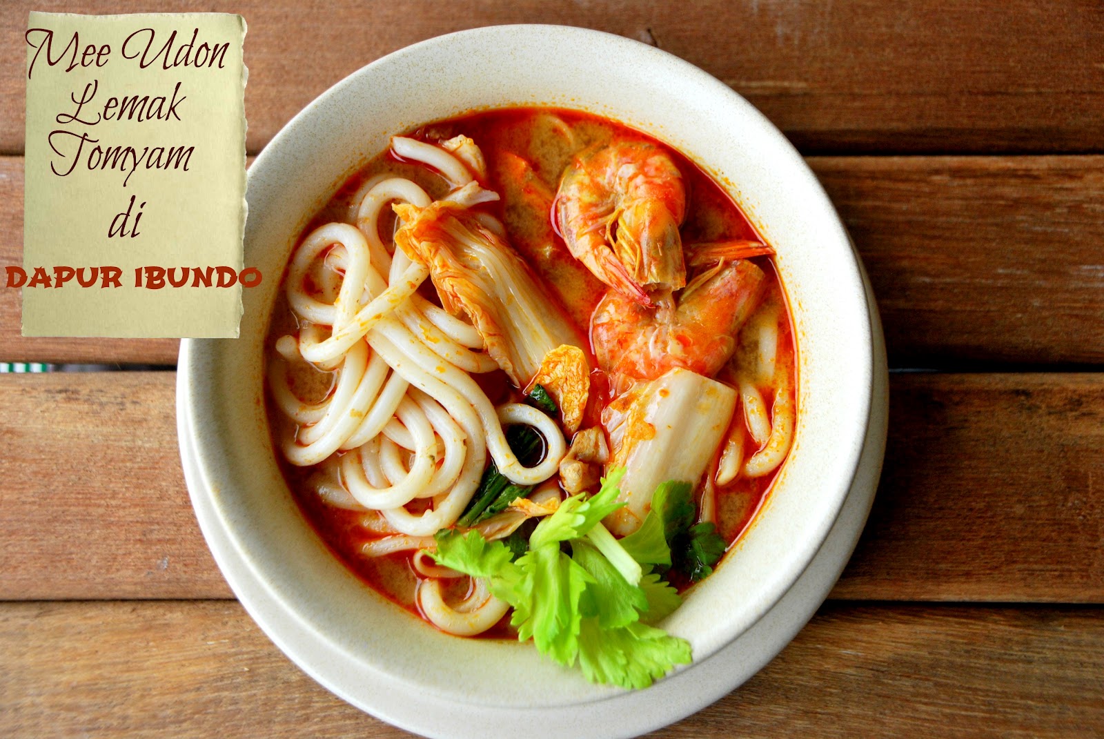 dapur ibundo: Mee Udon Lemak Tomyam