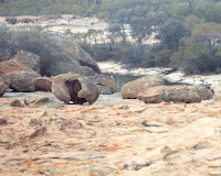 CAMPING EQUIPMENT and SHOPPING: Cave Hill Nature Reserve Widgiemooltha