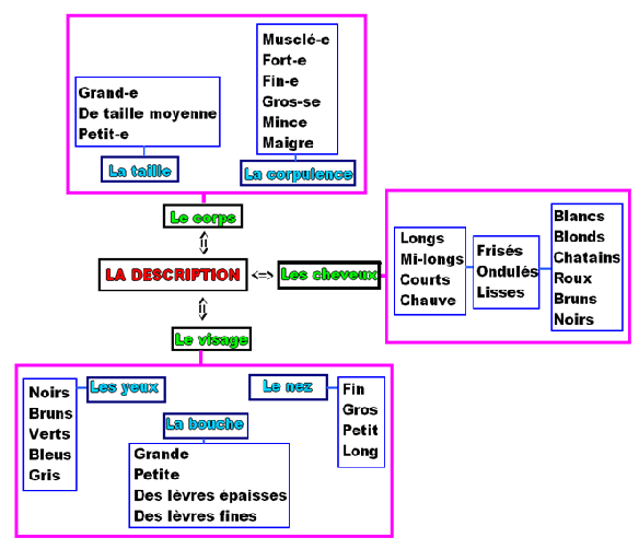 FRANCÉS GINÉS MORATA: LA DESCRIPTION: LE VISAGE, LES CHEVEUX ET LE CORPS