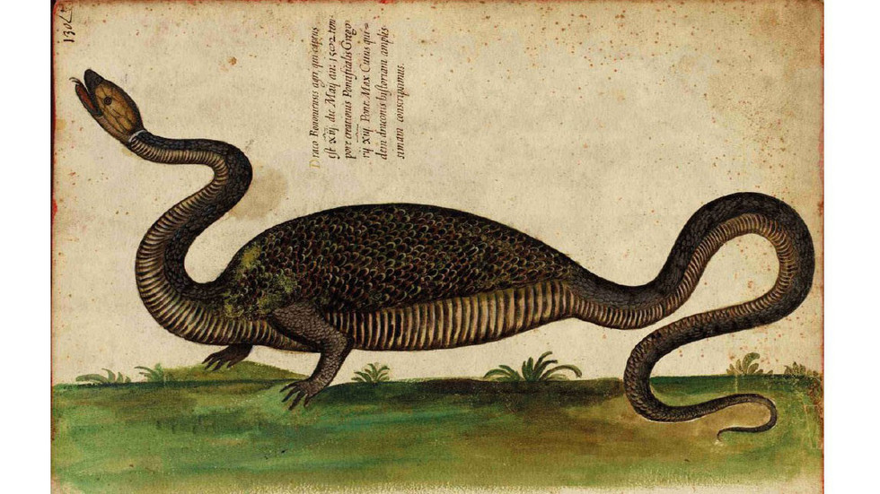 4 passi a Lodi e dintorni