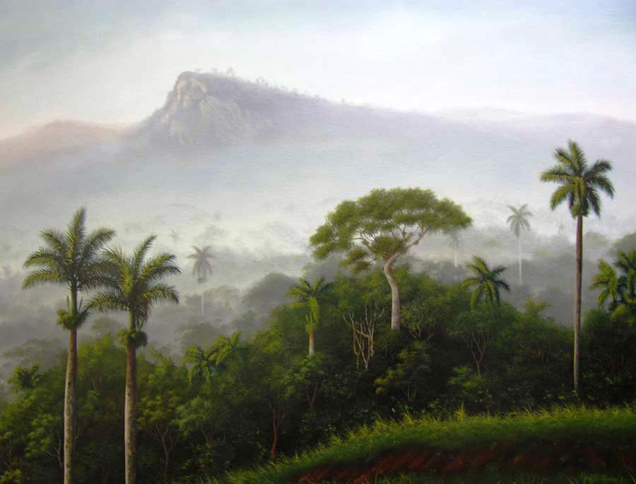 TROPICALIZER: Cuban landscapes // Paisajes cubano