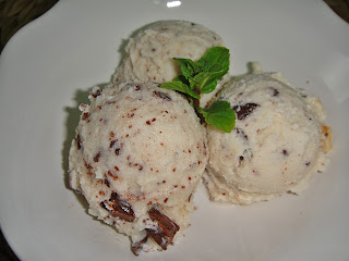 Maryam's Culinary Wonders: 416. Fresh Mint Ice Cream with Chocolate ...