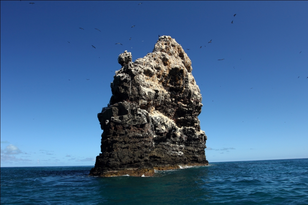 Life @ Home: La Perouse Pinnacle