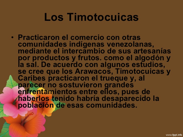 Indigenas de Venzuela: Los Timotocuicas