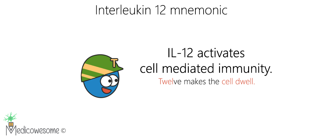 Immense Immunology Insight: Interleukin-12 (IL-12) mnemonic