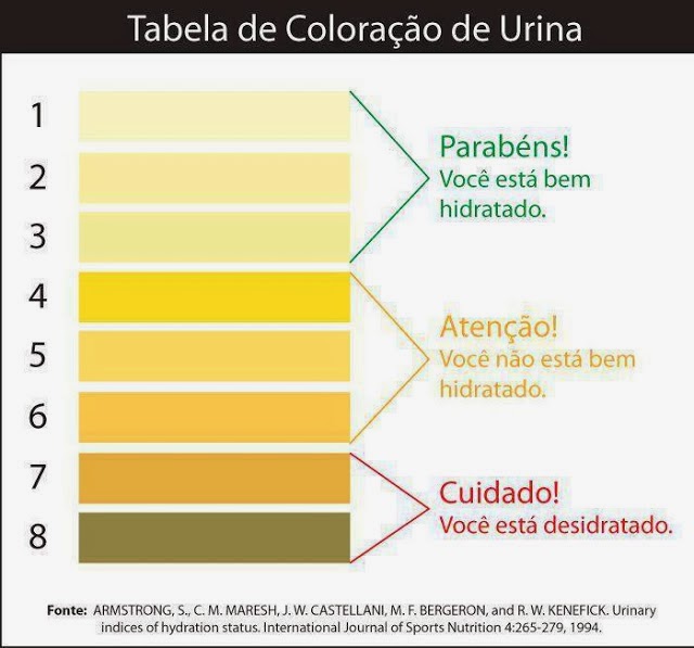 O que a cor da sua urina diz sobre você? | Simples Curiosidade