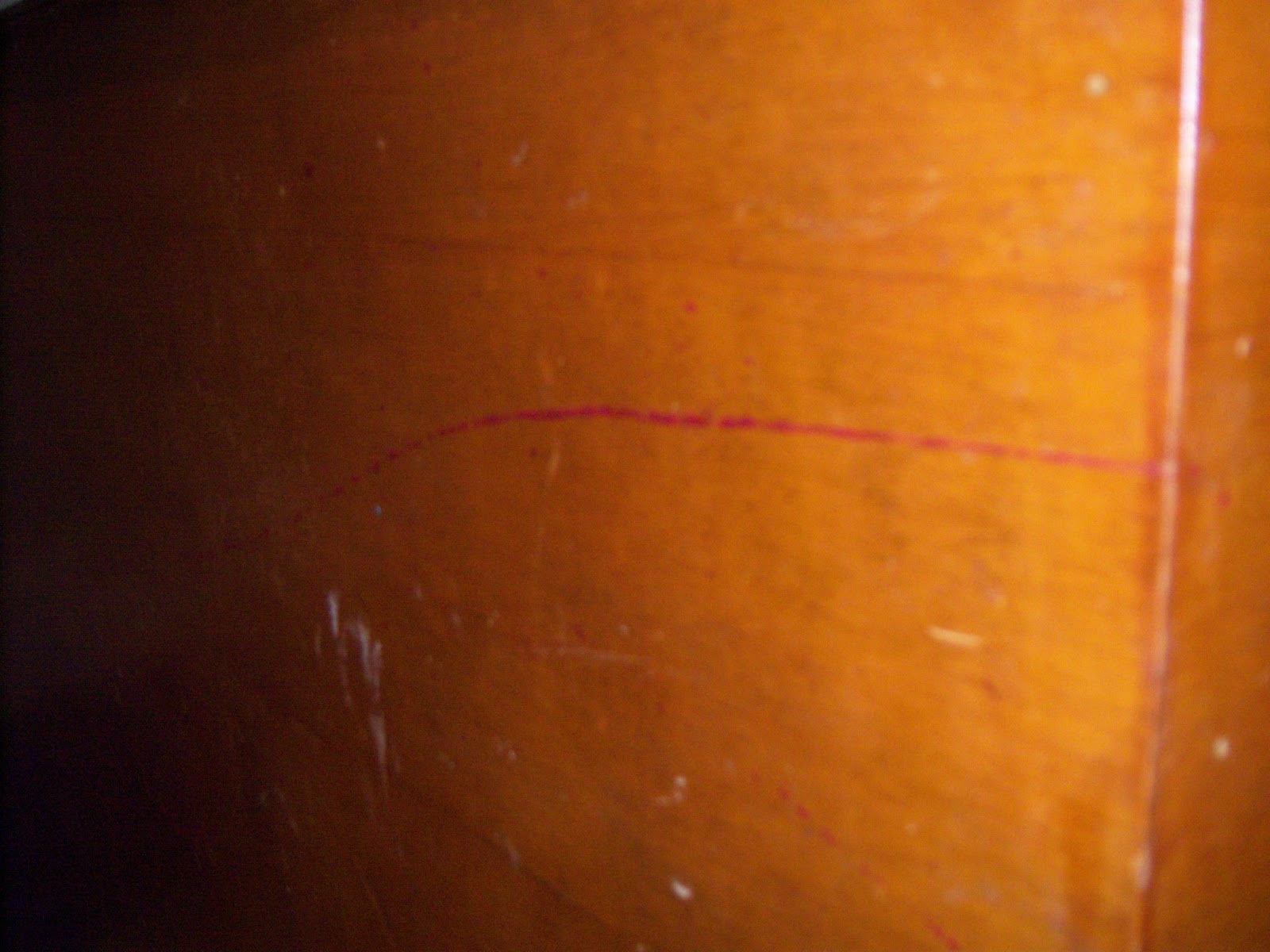 Kayla's Place: "Degloved" Dog Tail... Helpful H....