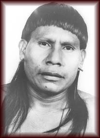 O sabio BODE: Emos, índios e Sabrina Sato.