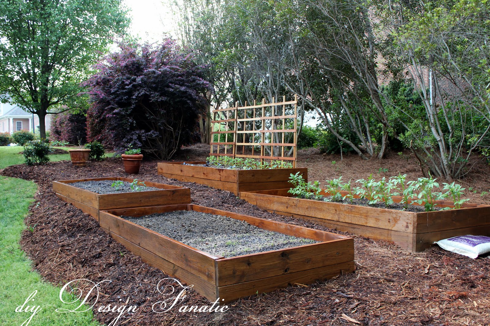 here s a photo of the raised beds from our deck