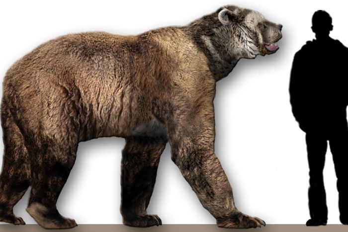 Science And Sciencibility: Giant prehistoric bears evolved to fill ...