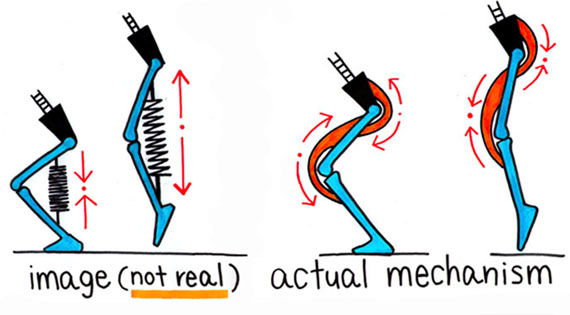 Hitting Revolution: Chapter5 Fundamental Knowledge of Sports Science