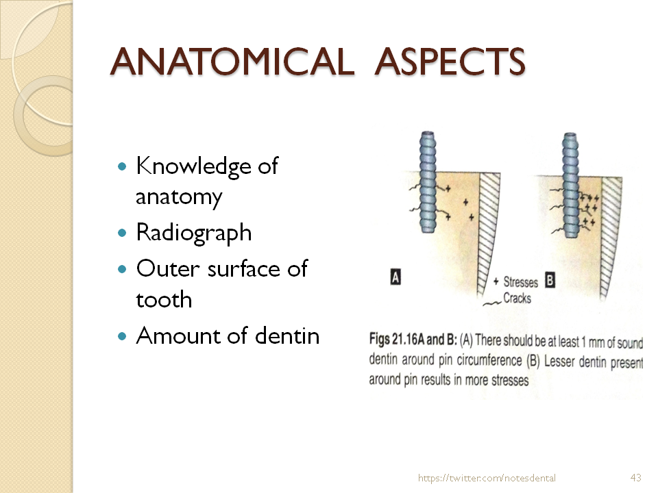 Dental Notes: Pin Retained Restorations NOTES