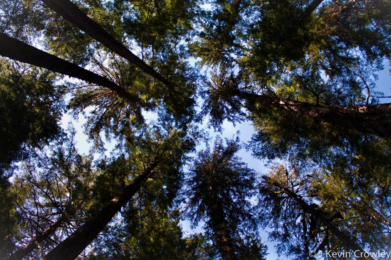 Southeastern Exposure: A Year in Juneau, Alaska