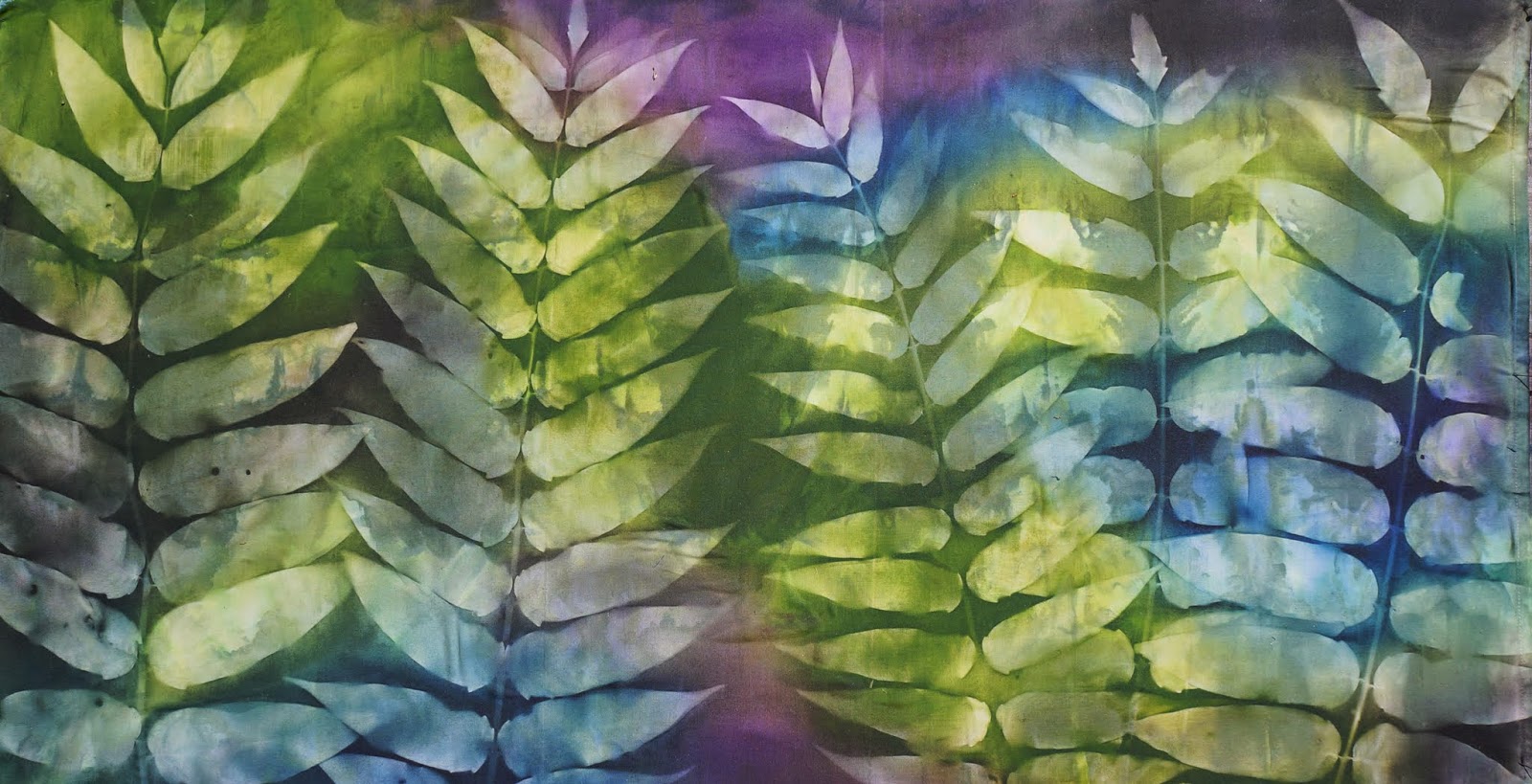 Ginger Wilson: Sun printing with leaves and branches