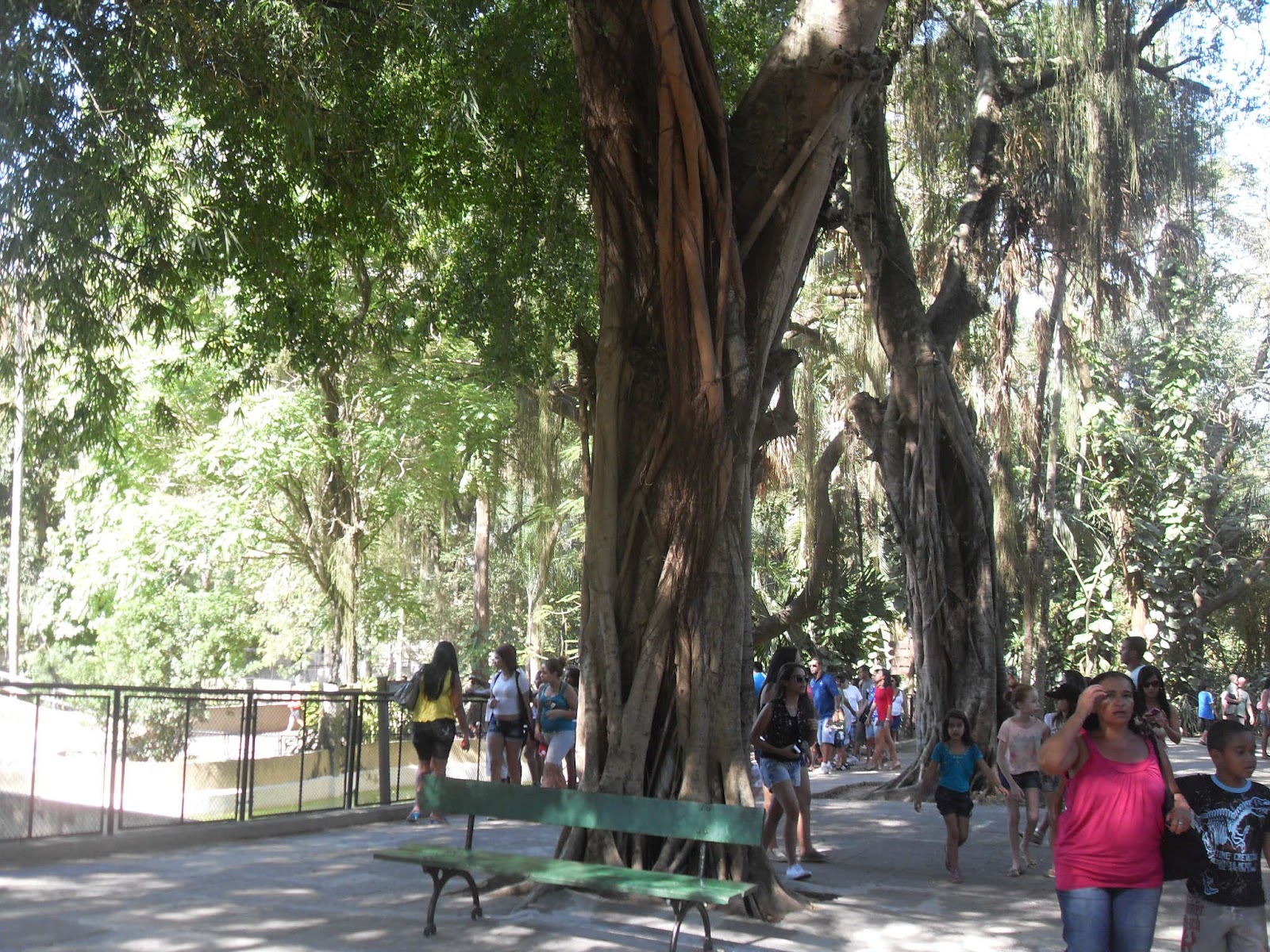 Guia Rio: RIOZOO - Fundação Jardim Zoológico da Cidade do Rio de Janeiro