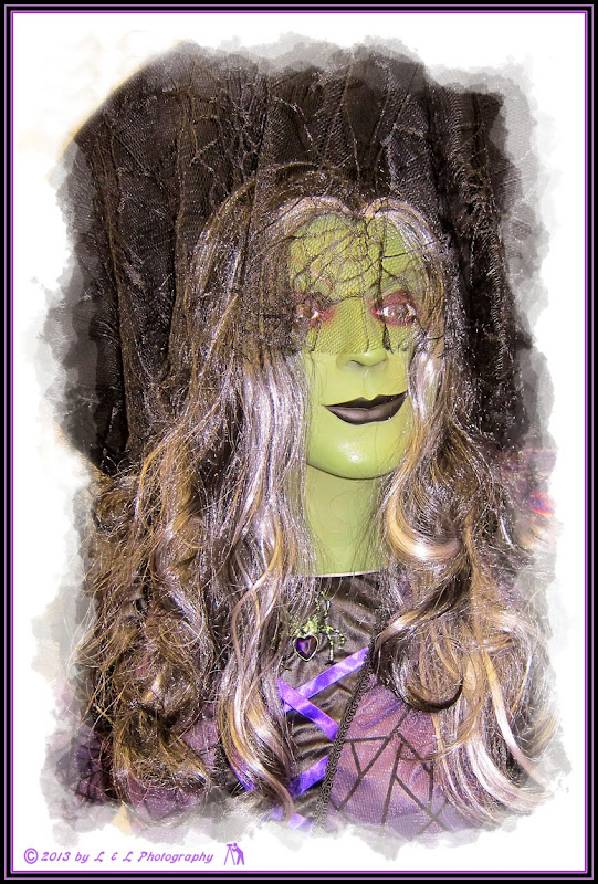 Ocala, Central Florida & Beyond: The Witch of Ocala