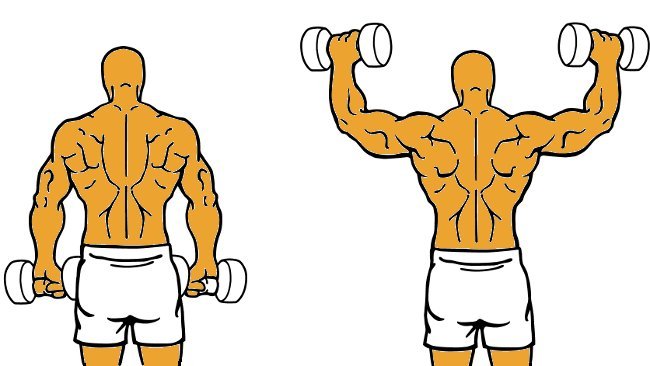 Fitness and Nutrition Blog: Cuban Rotation: An Exercise To Strengthen ...