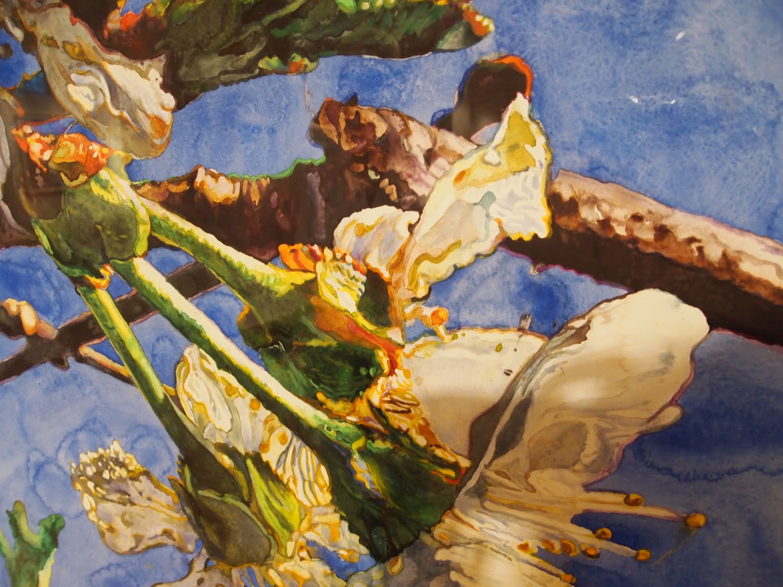 Agave Latte: Joseph Raffael!