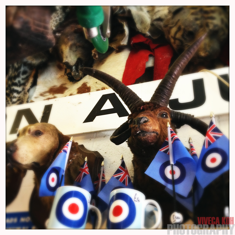 VivaciousV Photography: Jurby Junk