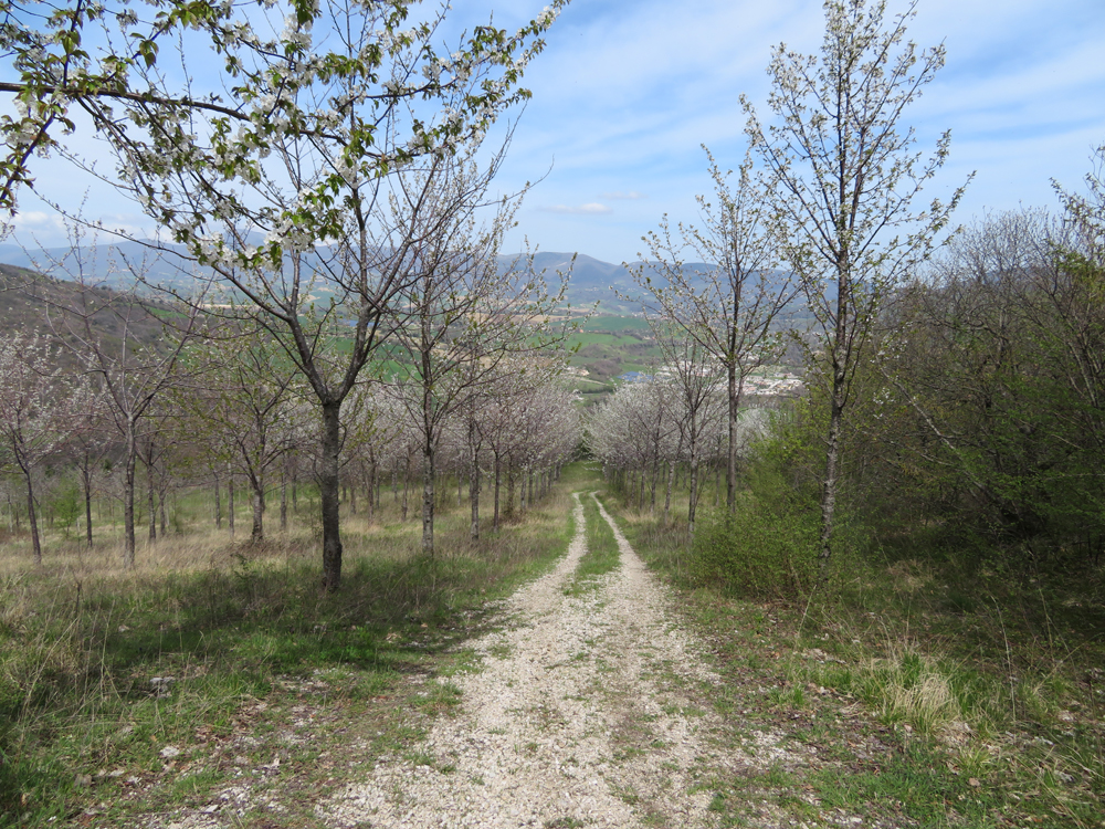 Escursionismo a 360°: giugno 2018