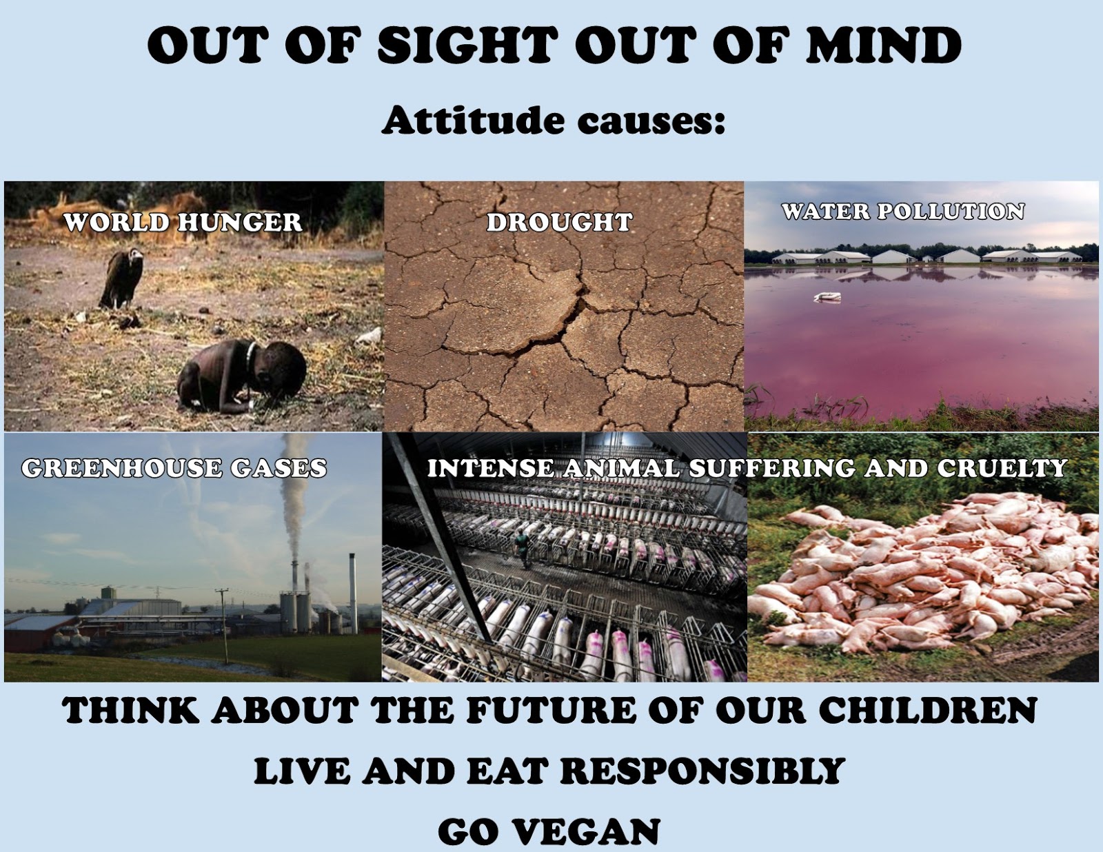 Joy of Vegan: world hunger memes to share