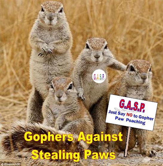 The Art of Being Conflicted: You Are Such an Animal