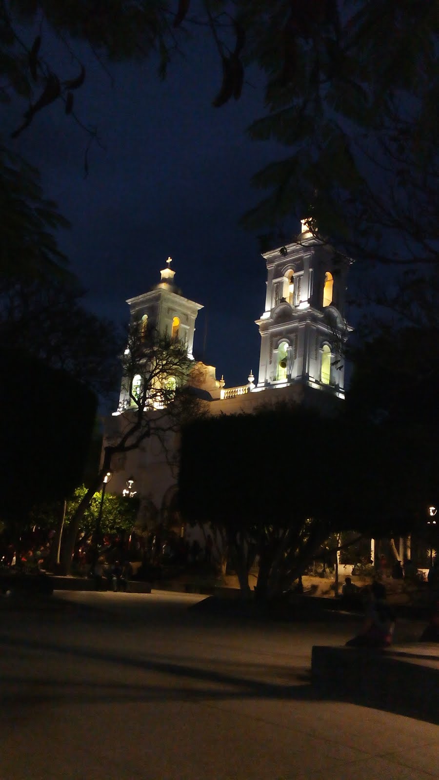 Chilpancin-Gro y su Contenido...: Chilpancingo, Lugar de Avispas