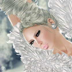 Spotlight on Maya Sharpshire: In the Zone ...Luc Fray Reporting ...