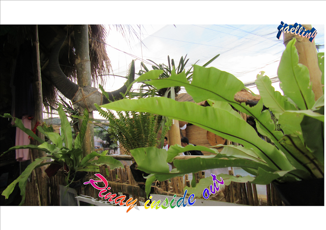 Booth of Kapangan, Benguet - Adivay 2015