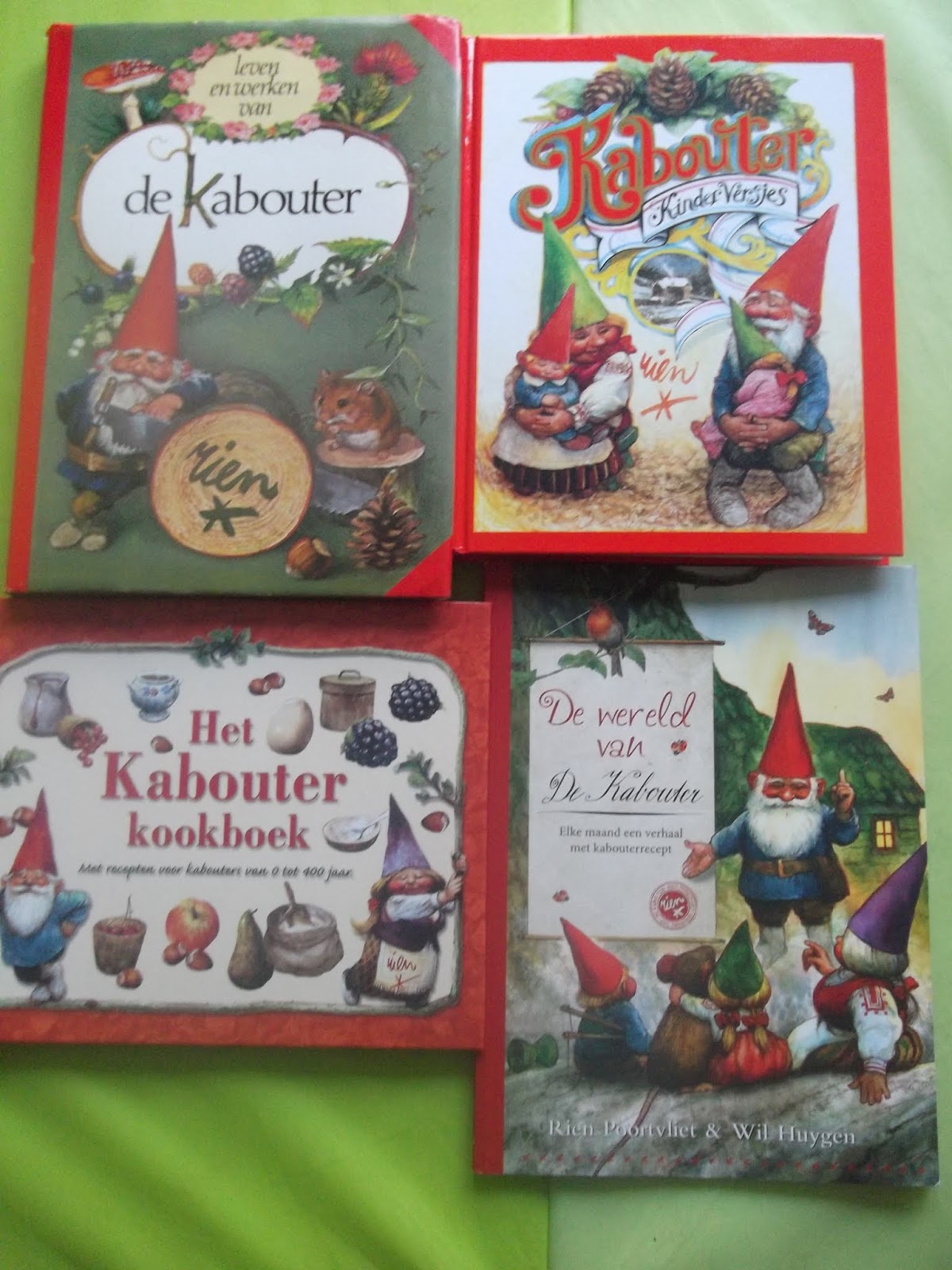 14+ David De Kabouter Boek | judith e cole