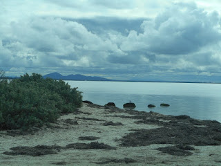 Geelong Visual Diary: Plans for Point Henry