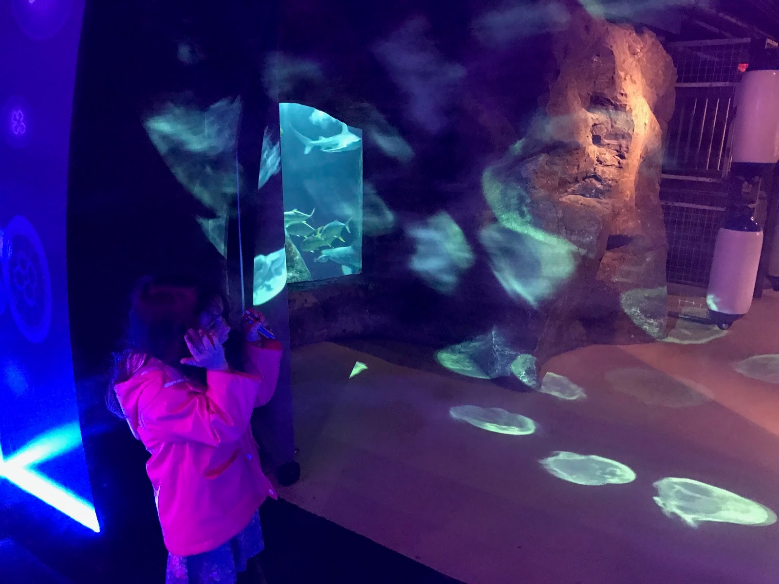 Ocean Invaders at the Sealife Aquarium London | Kerry Louise Norris