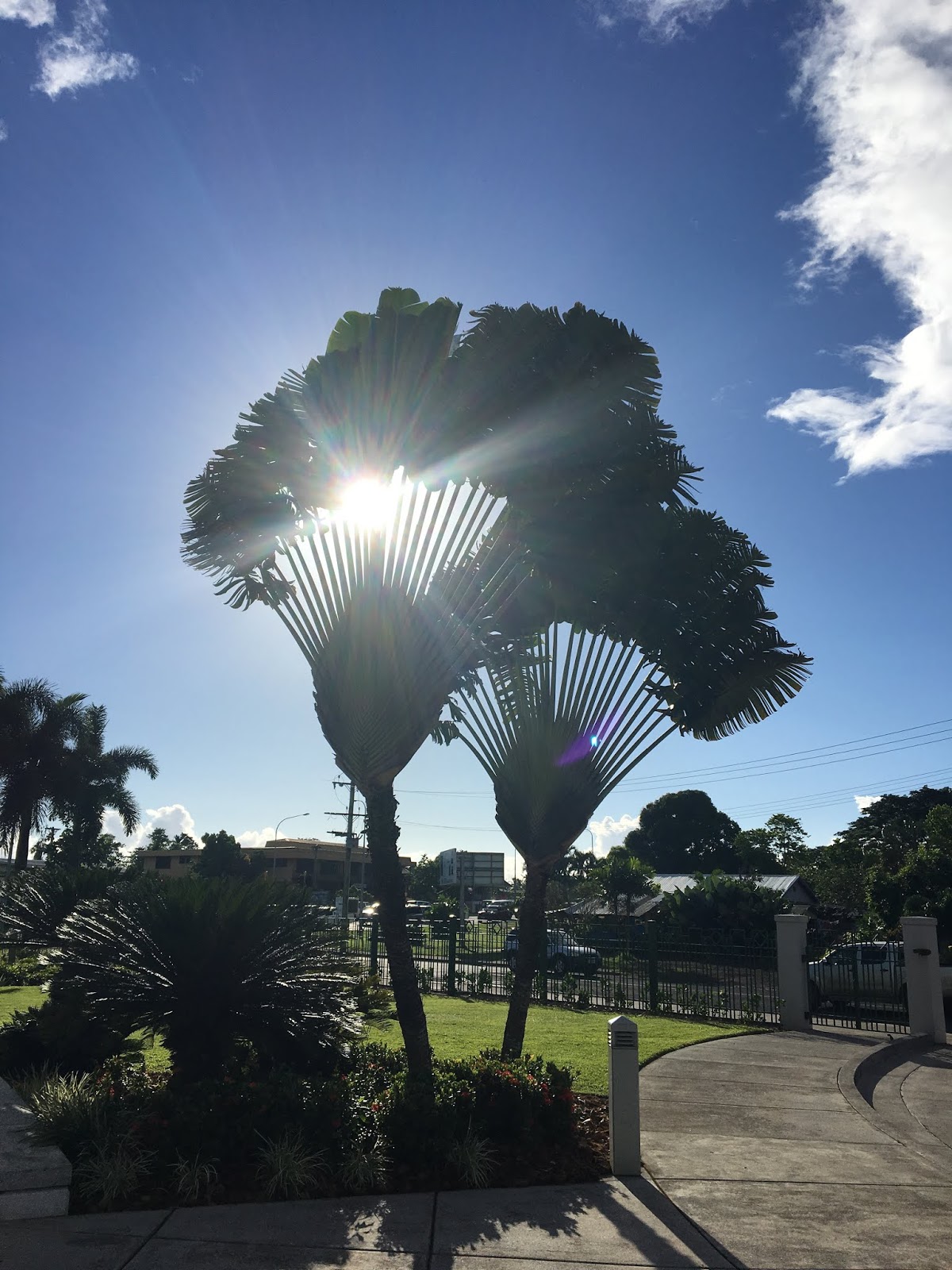 New ZimZim: Professional Development Pesega, Samoa