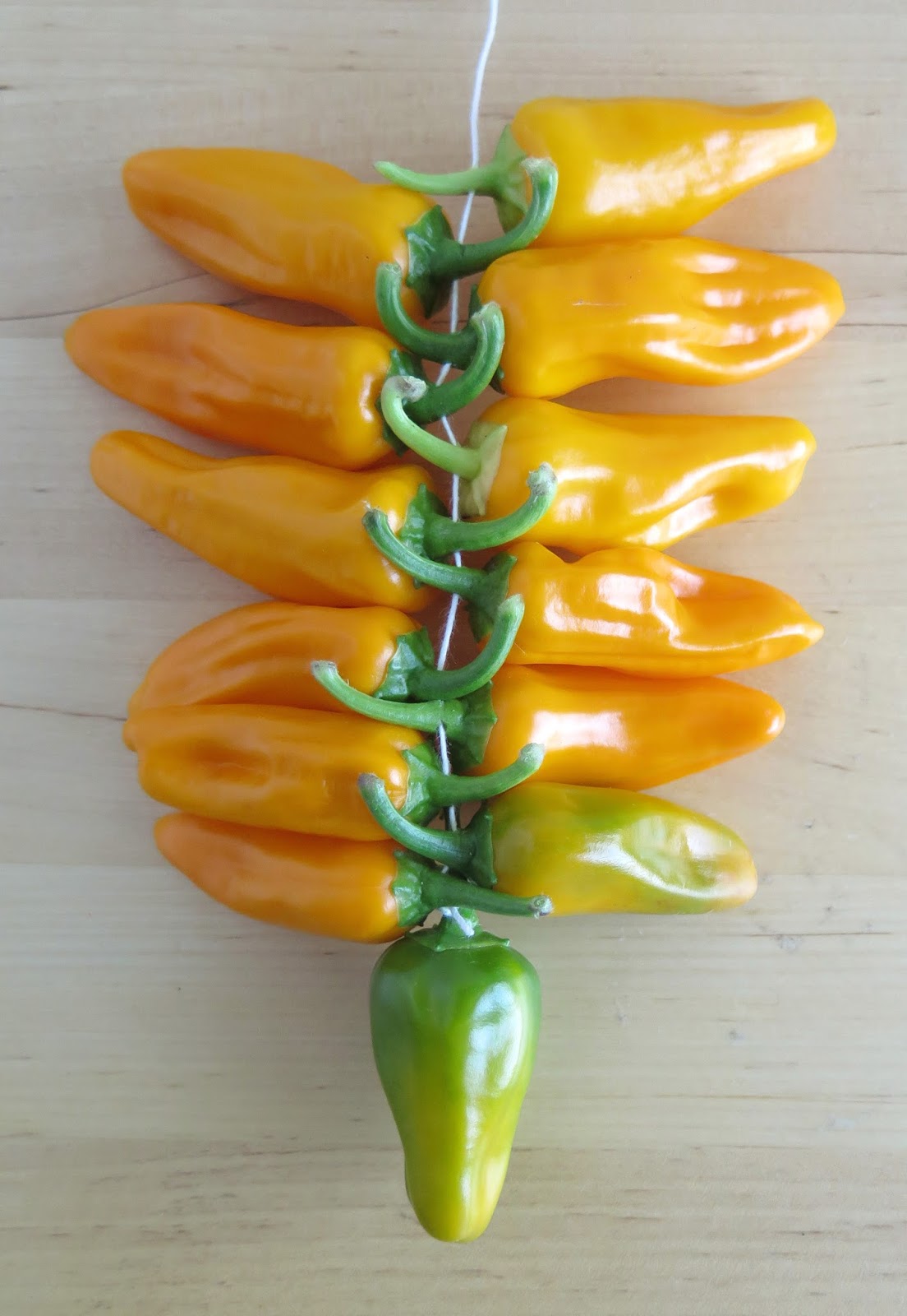 Sweet Tea, Soft Skeins: How to dry hot peppers on a string
