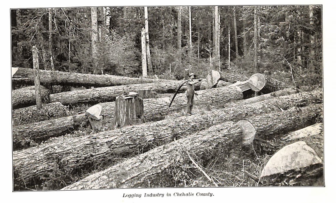 John's Island: Washington State in 1910