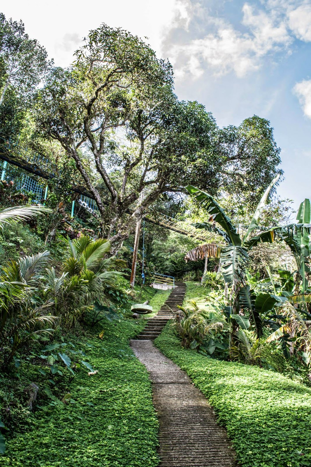 Local Wanderers: Travel: Tops to Mountain View Busay Adventure