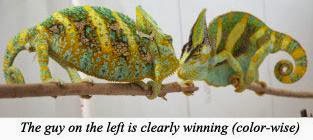 Nonverbal World - The World Without Words: Chameleon Fabrics for Social ...