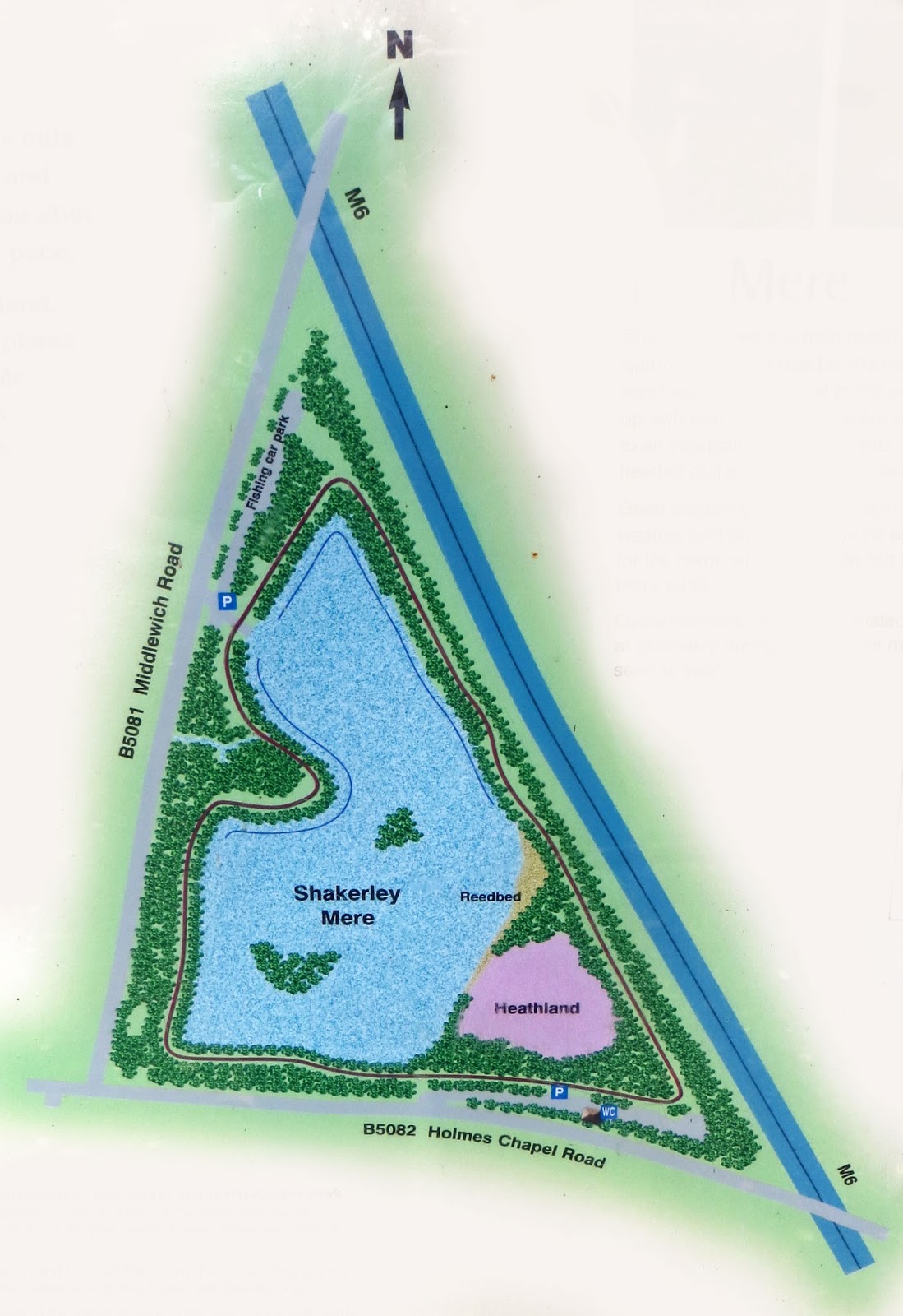 sconzani: Cheshire walks: Shakerley Mere