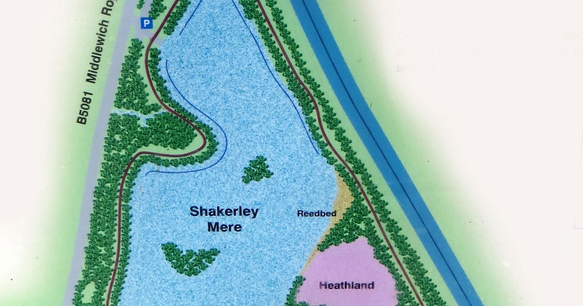 sconzani: Cheshire walks: Shakerley Mere