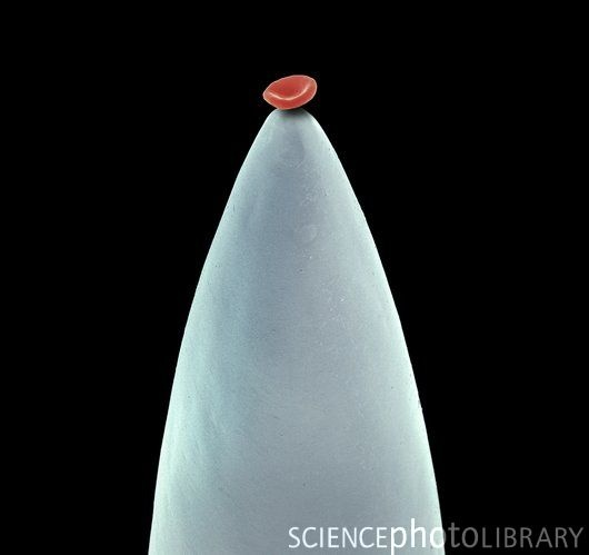 Medical Laboratory and Biomedical Science: Single Red Blood Cell