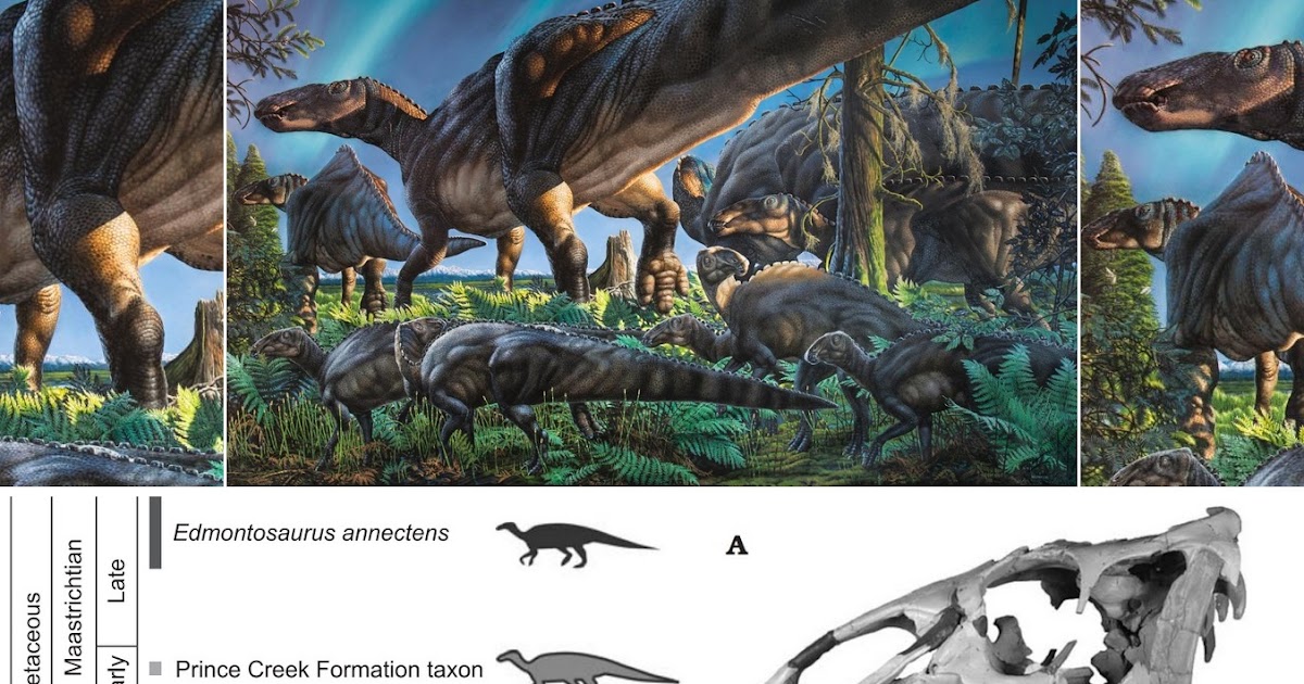 Species New to Science: [Paleontology • 2015] Ugrunaaluk kuukpikensis ...