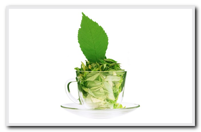 T.e.a...a.n.d...H.e.a.l.t.h