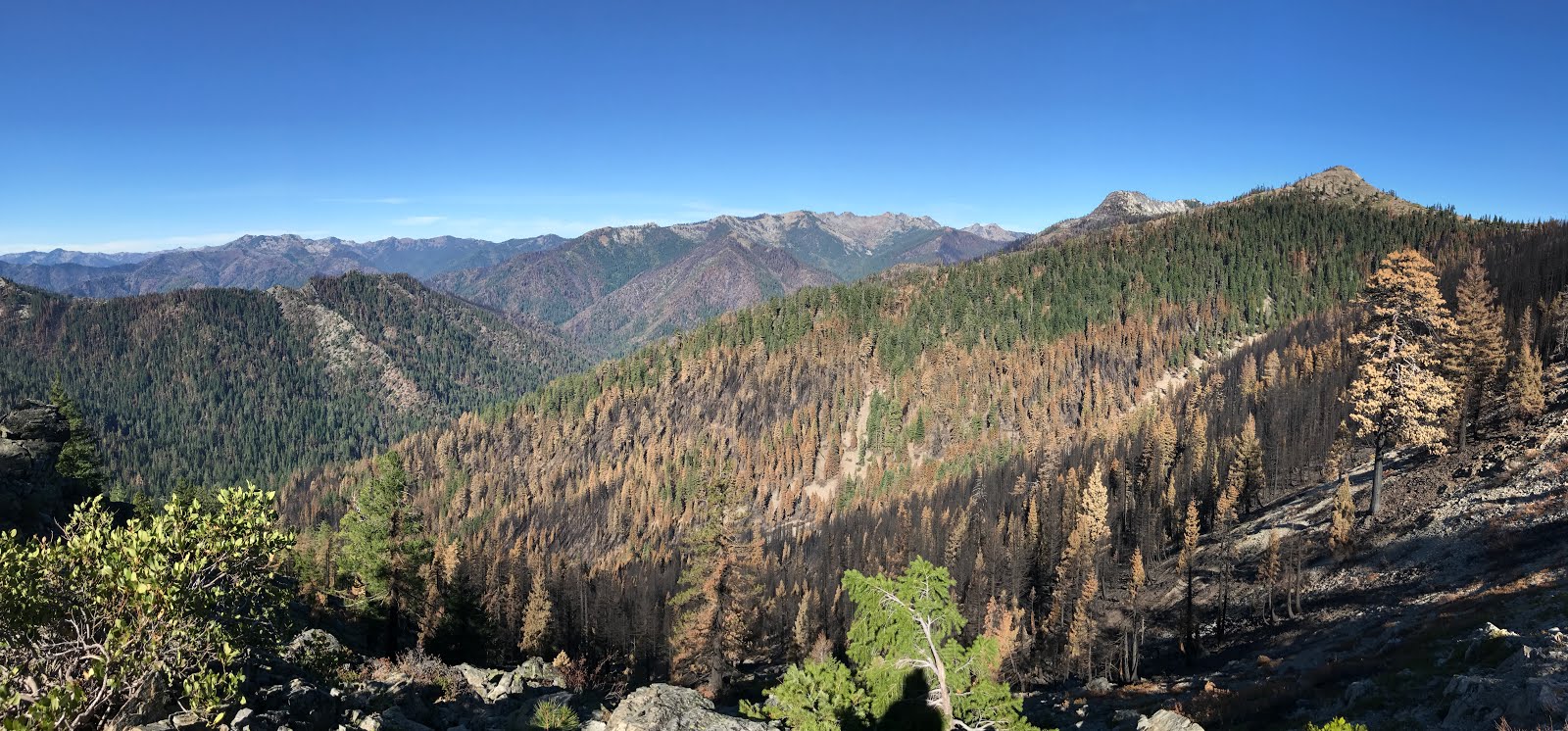 The Siskiyou Crest : 2017 Wallow Fire: Fire Effects in the Marble ...