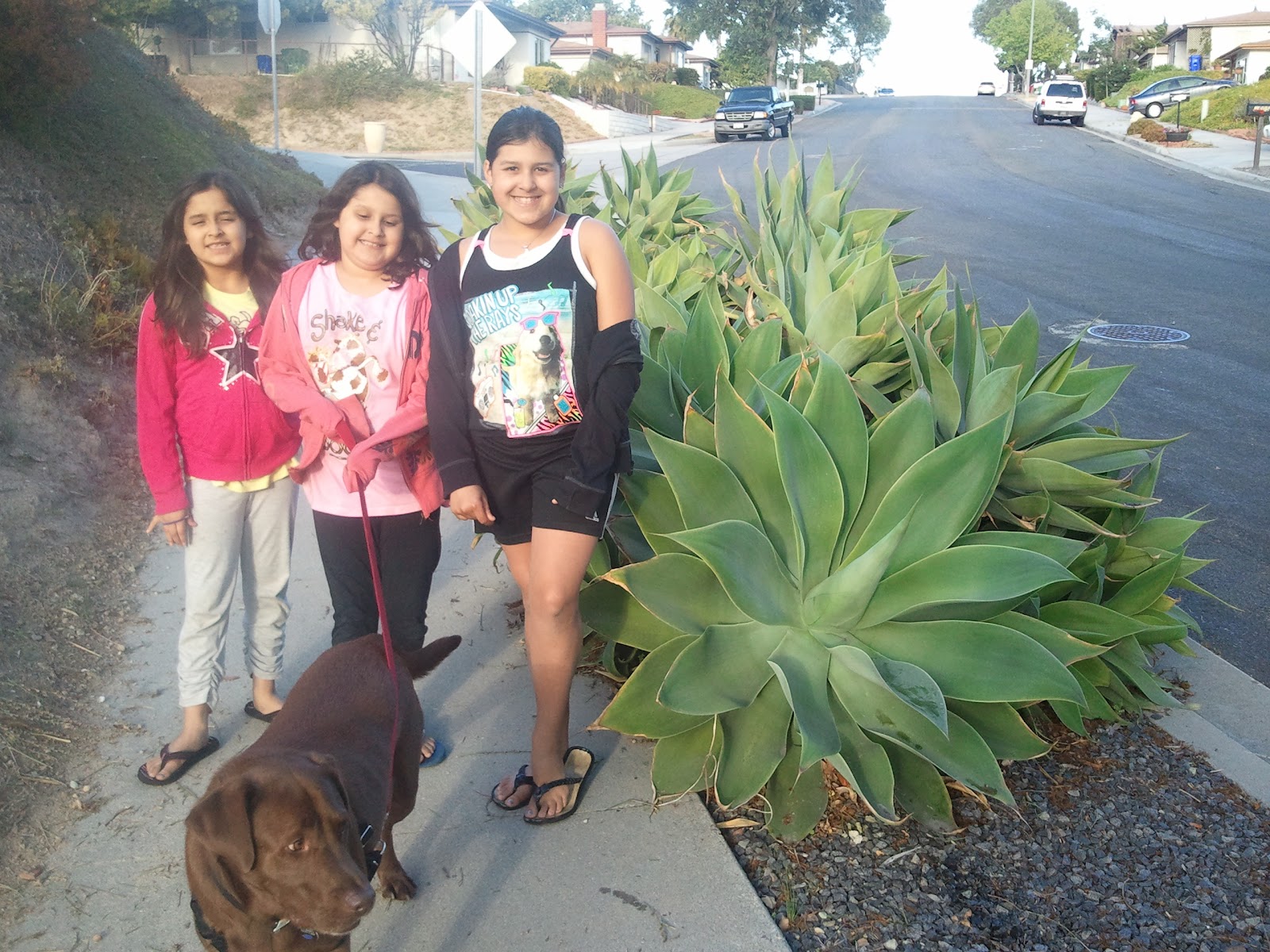 Arellano family: Girls walking in our neighborhood