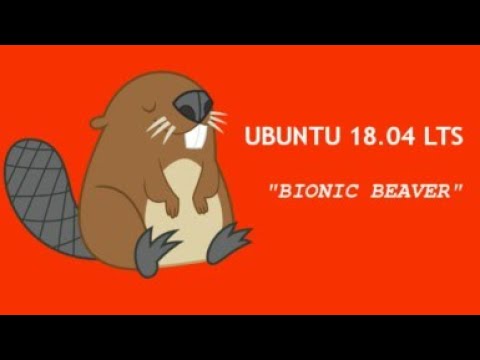 I love ubuntu!: UBUNTU 18.04 BIONIC BEAVER WALLPAPERS!!!!