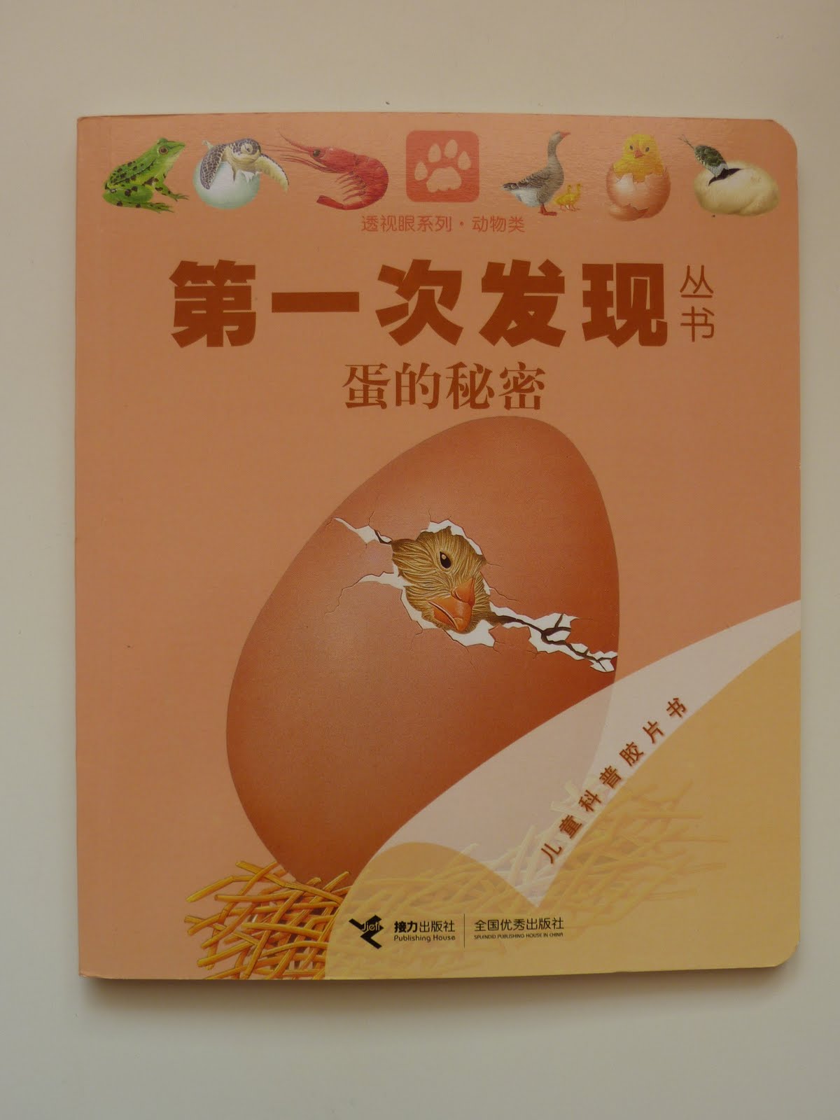 Family FECS: May 2011