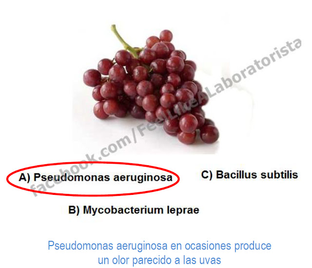 ORTHIN LABORATORIO DE REFERENCIA EN COSTA RICA: Y la respuesta es.......