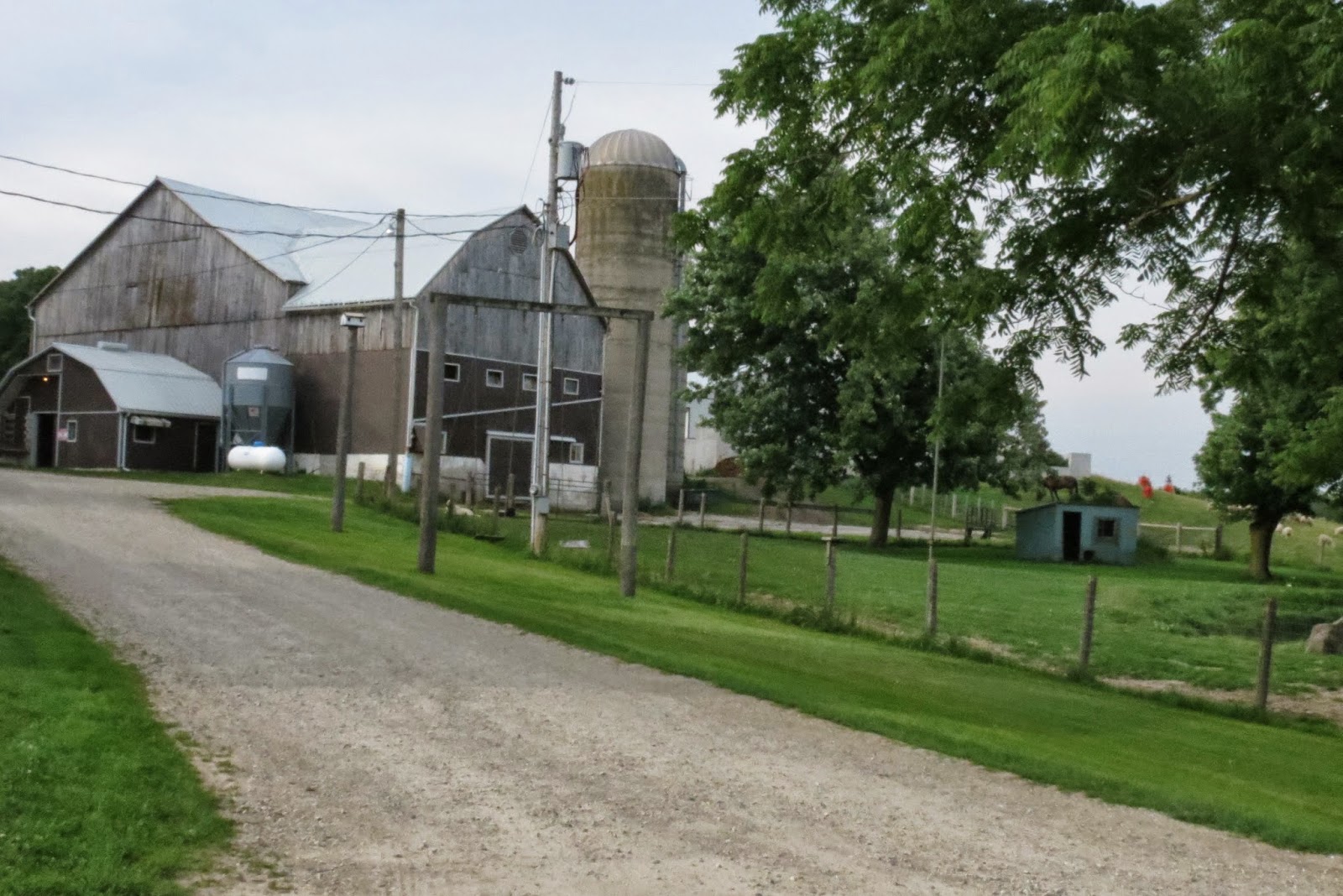 Adventures in PEI and Beyond!: An Honour System of Doing Business ...