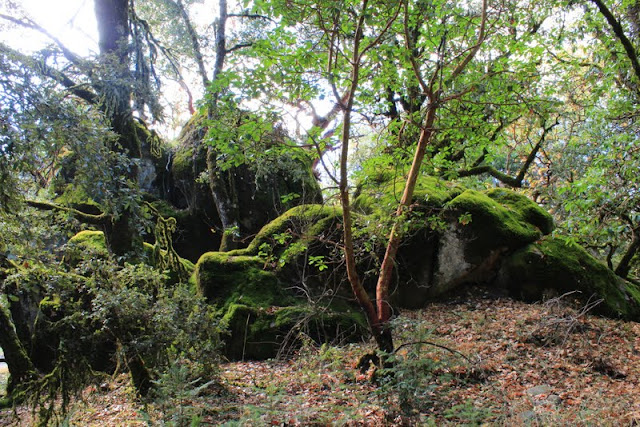 Eye On The View: Sanborn County Park II - Summit Rock Loop Trail